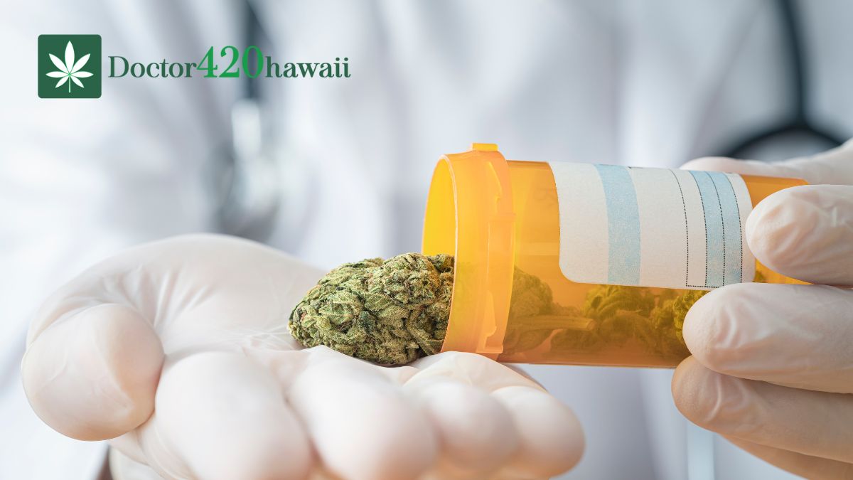 Doctor 420 Hawaii | Trusted 329 Card Medical Cannabis Help